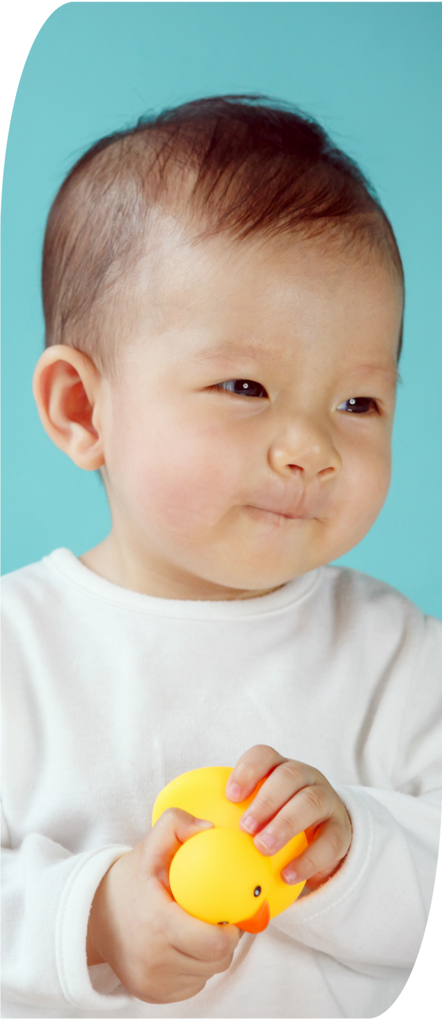 About Us - Evolve Insurance